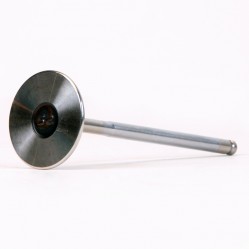 Skunk2 B-Series VTEC Alpha Series Valves (stock size, high compression ...